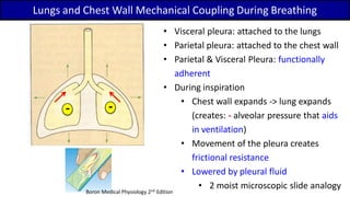 01 pleural physiology referenced | PDF