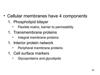 ppt on introduction to biochemistry and cell | PPT
