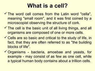 ppt on introduction to biochemistry and cell | PPT