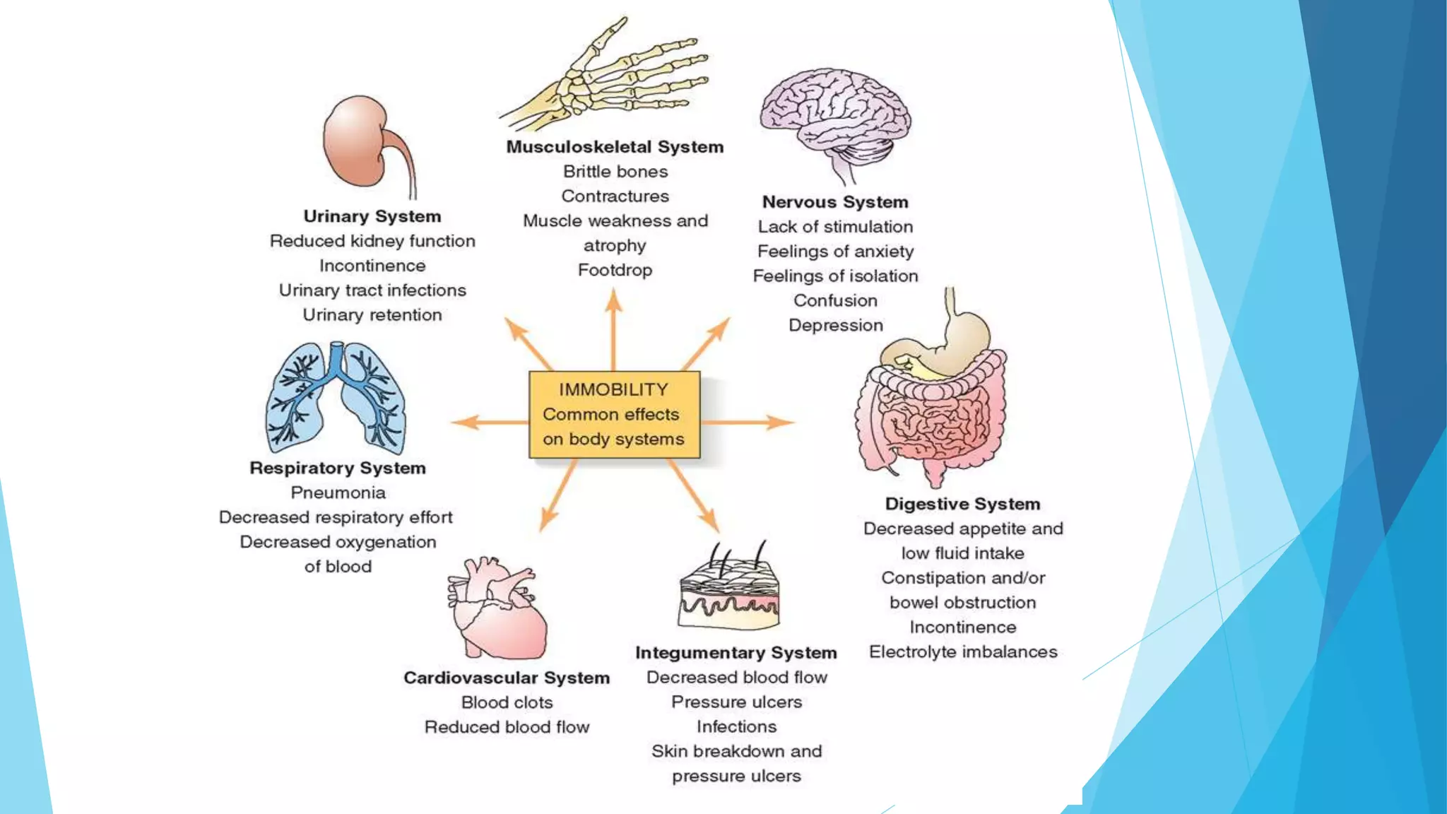 HEALTH ASSESSMENT - BODY MECHANICS | PPTX