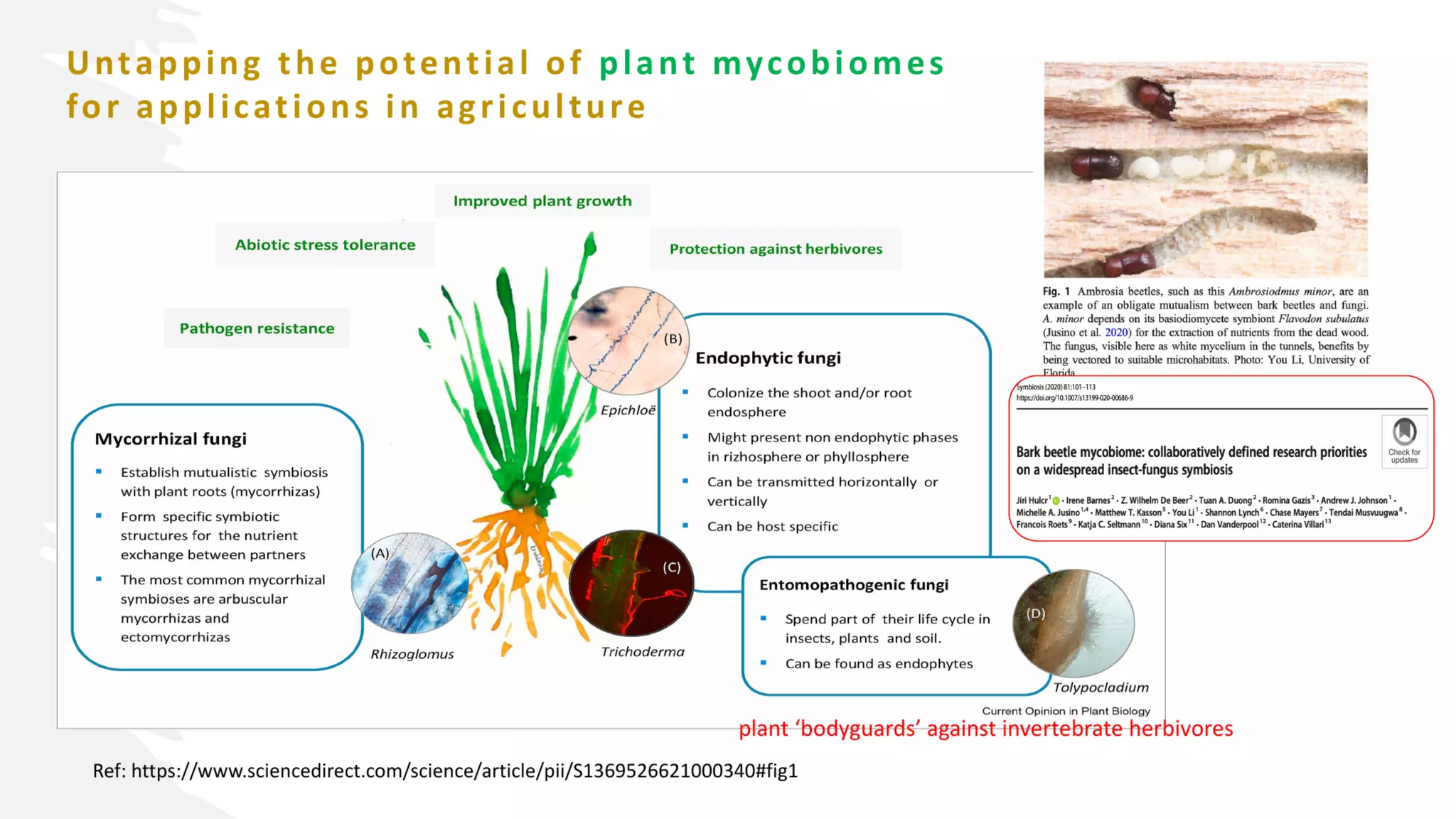 Environmental DNA (eDNA) analysis and applications | PDF