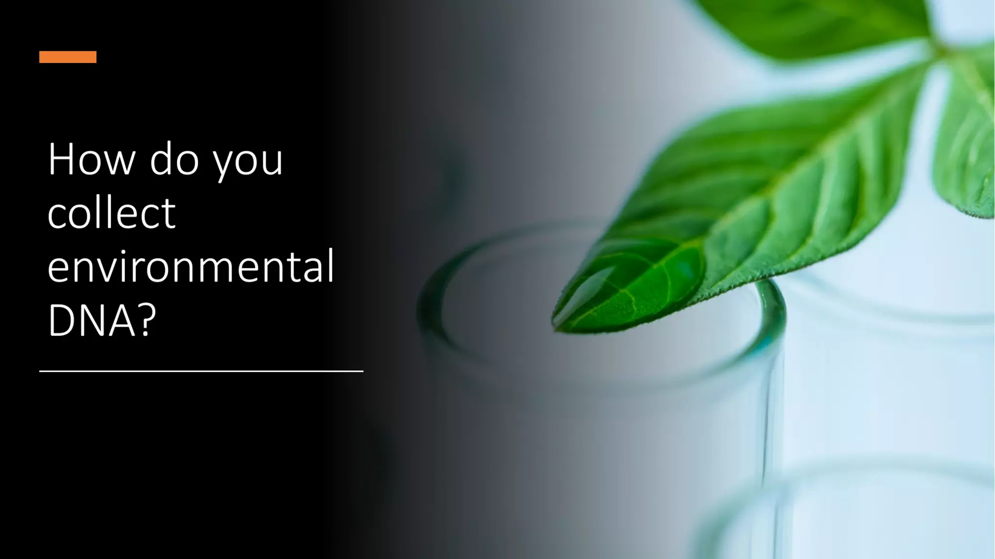 Environmental DNA (eDNA) analysis and applications | PDF