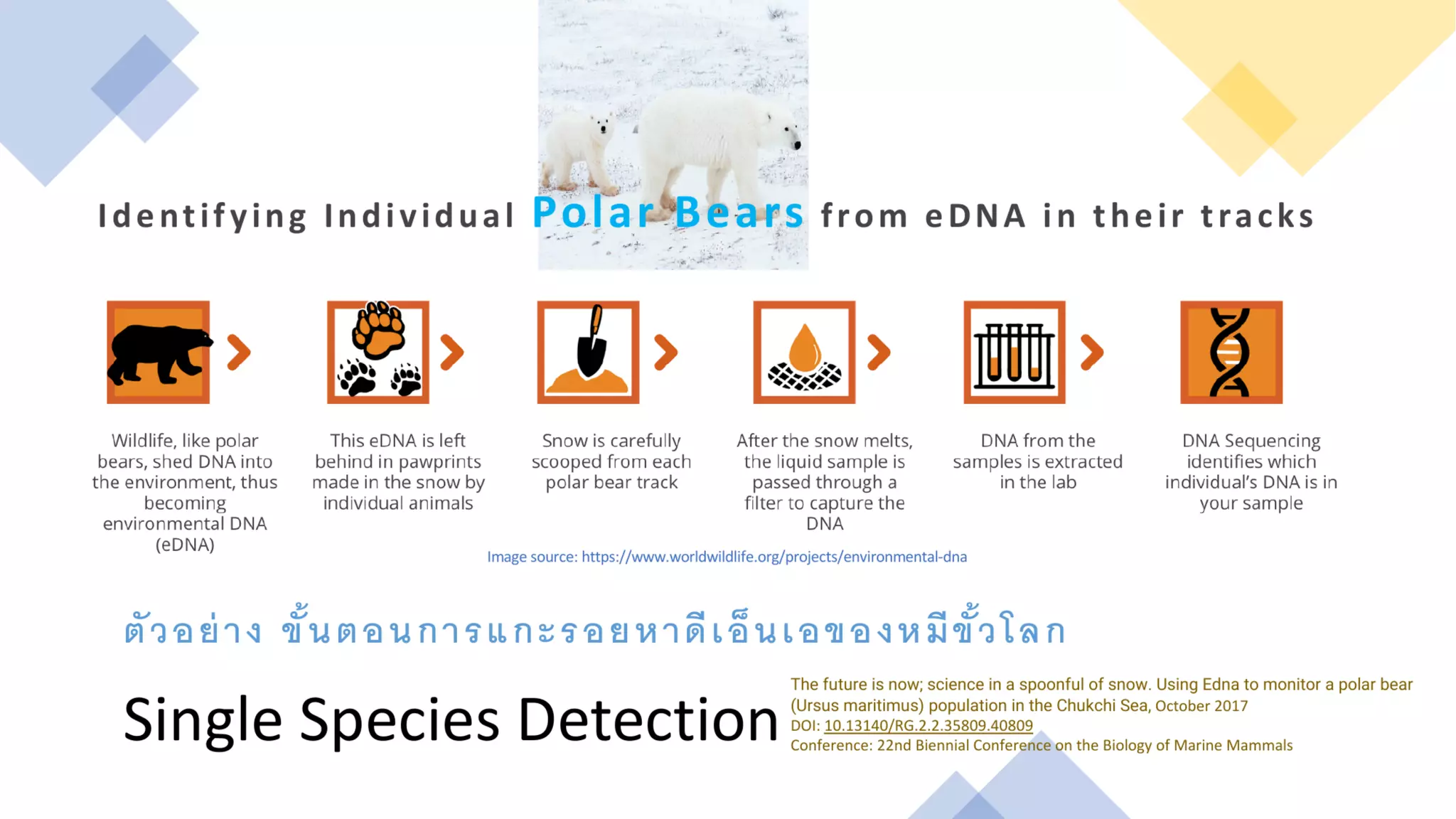 Environmental DNA (eDNA) analysis and applications | PDF