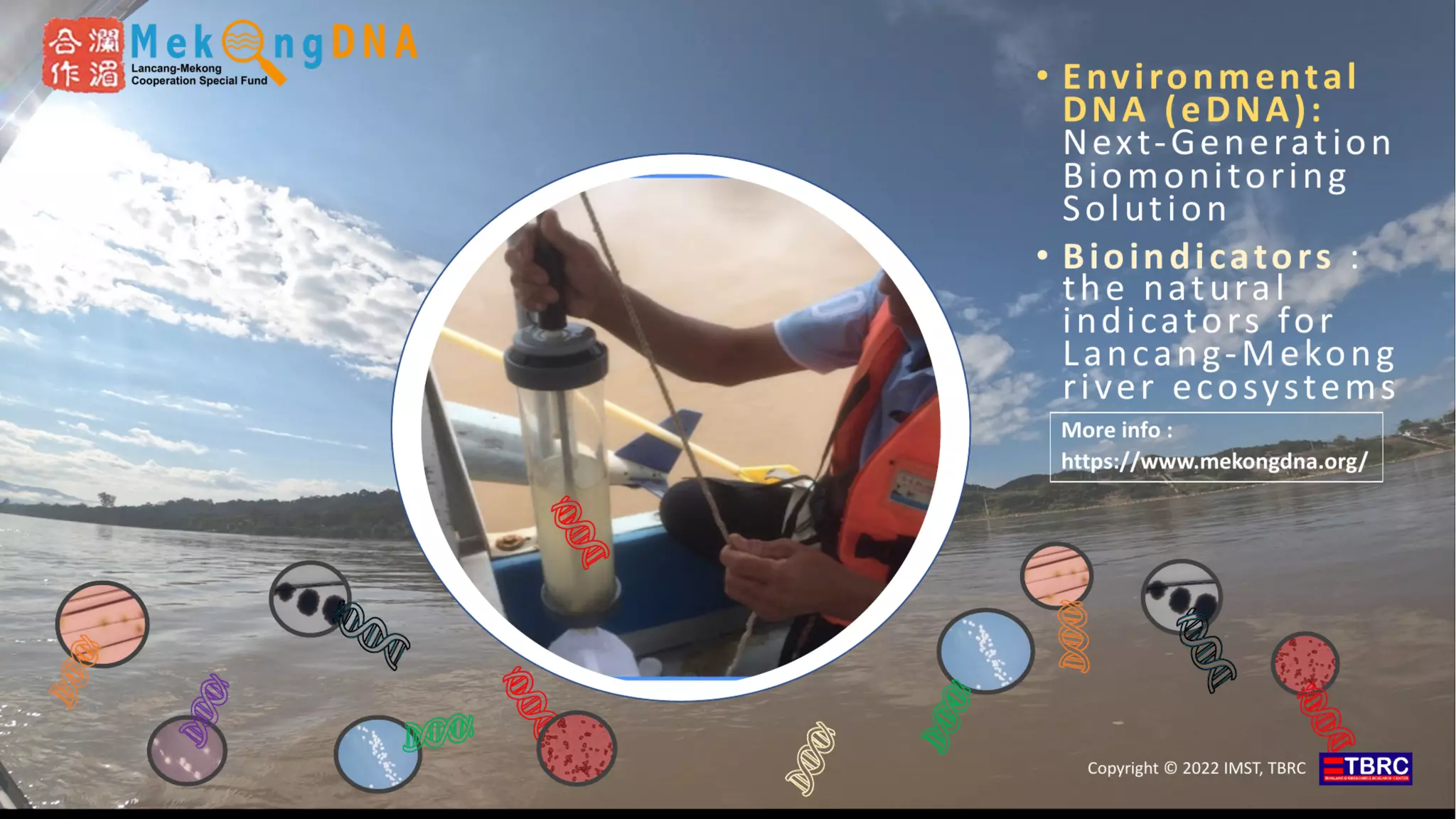 Environmental DNA (eDNA) analysis and applications | PDF