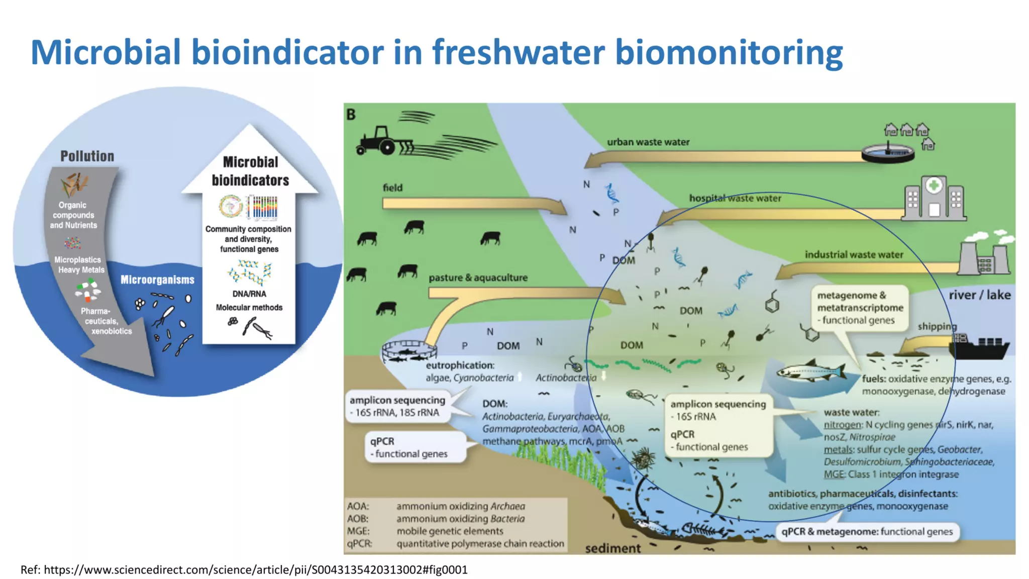 Environmental DNA (eDNA) analysis and applications | PDF