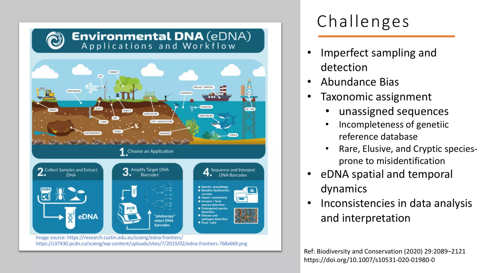 Environmental DNA (eDNA) analysis and applications | PDF