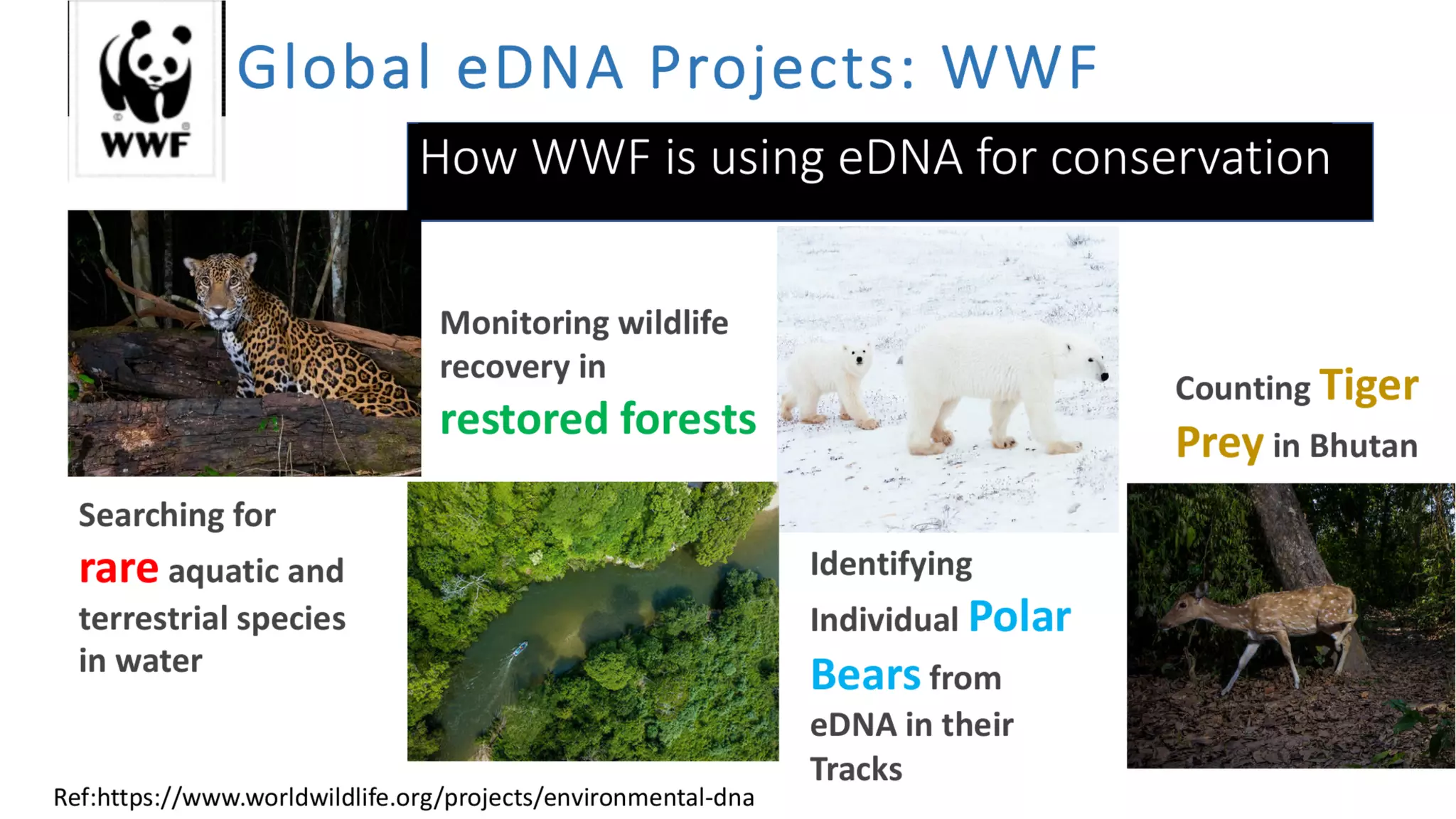 Environmental DNA (eDNA) analysis and applications | PDF