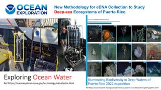 Environmental DNA (eDNA) analysis and applications | PDF