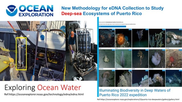 Environmental DNA (eDNA) analysis and applications | PDF | Genetics ...
