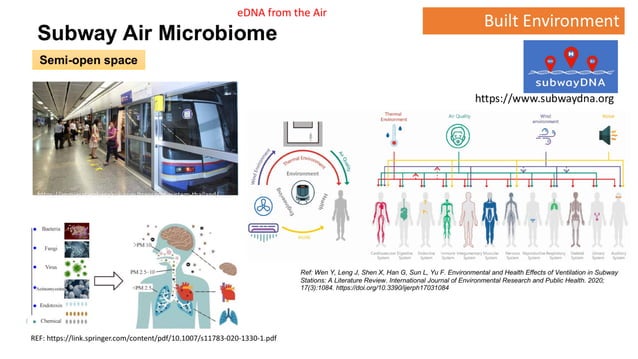Environmental DNA (eDNA) analysis and applications | PDF | Genetics ...