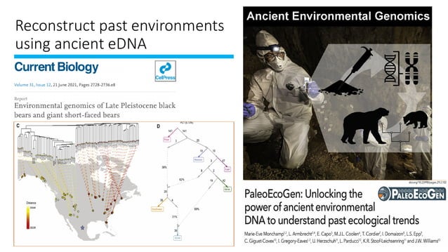 Environmental DNA (eDNA) analysis and applications | PDF | Genetics ...