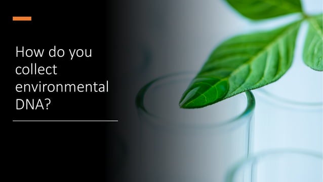 Environmental DNA (eDNA) analysis and applications | PDF | Genetics ...