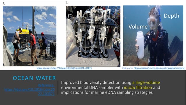 Environmental DNA (eDNA) analysis and applications | PDF | Genetics ...