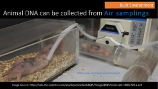 Environmental DNA (eDNA) analysis and applications | PDF