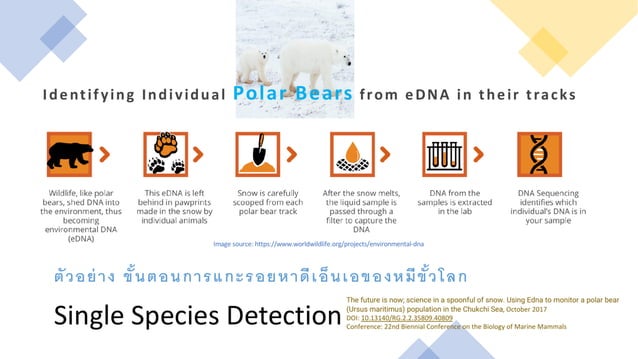 Environmental DNA (eDNA) analysis and applications | PDF | Genetics ...