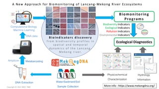 Environmental DNA (eDNA) analysis and applications | PDF
