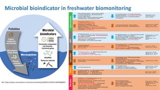 Environmental DNA (eDNA) analysis and applications | PDF