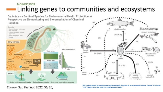 Environmental DNA (eDNA) analysis and applications | PDF | Genetics ...