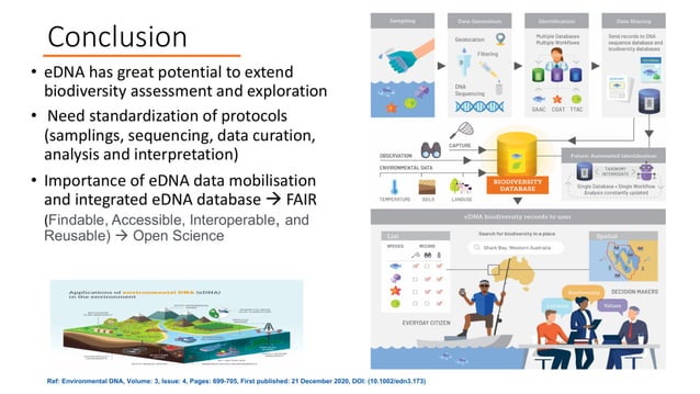Environmental DNA (eDNA) analysis and applications | PDF | Genetics ...