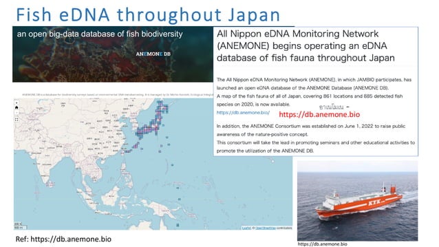 Environmental DNA (eDNA) analysis and applications | PDF | Genetics ...