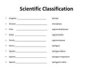 01 Presentation1 - Copy (2).pptx