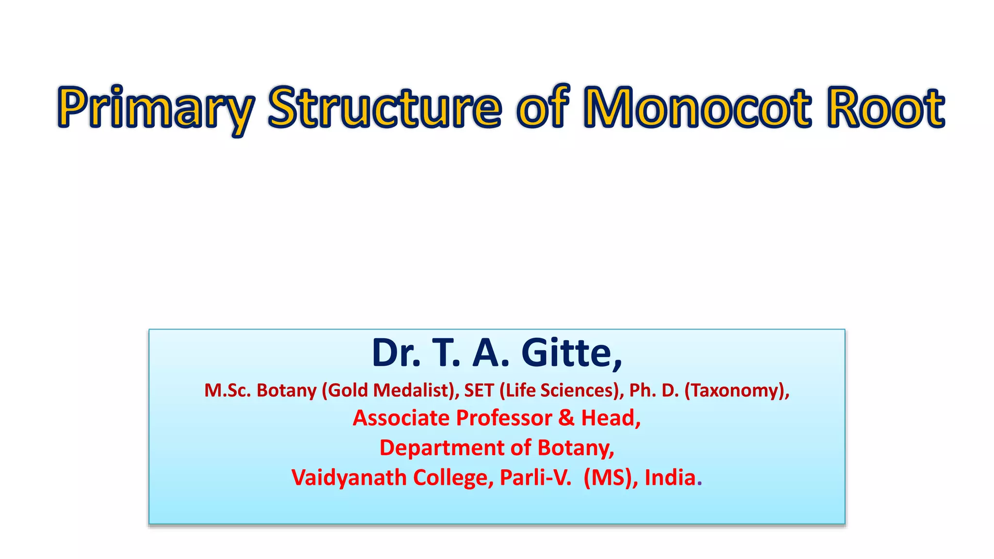 Primary structure Monocot Root | PPTX