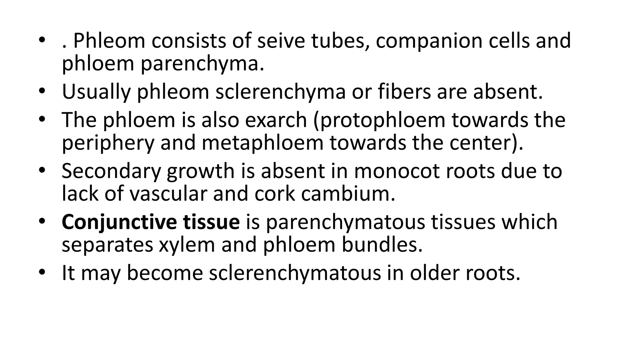 Primary structure Monocot Root | PPTX