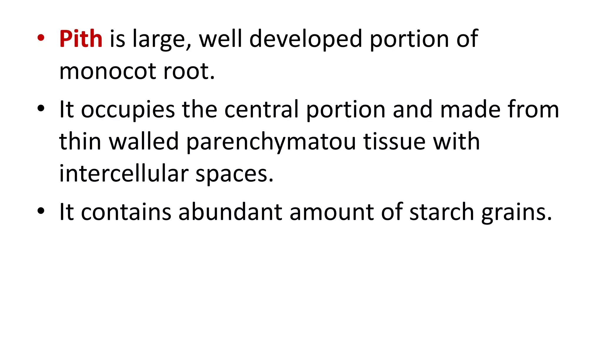 Primary structure Monocot Root | PPTX