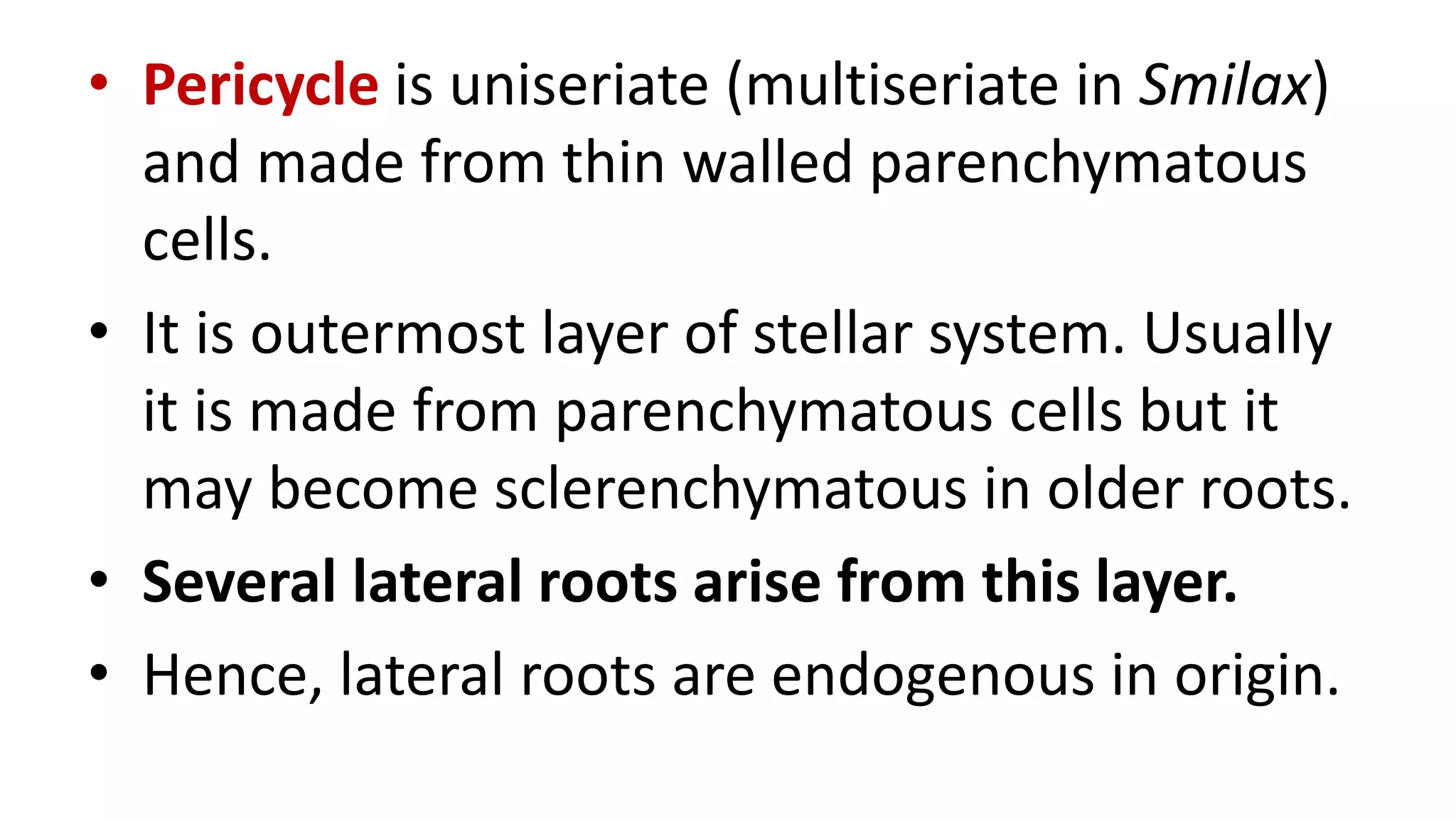 Primary structure Monocot Root | PPTX