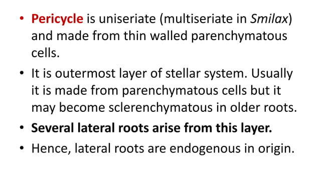 Primary structure Monocot Root | PPTX