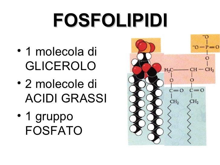 Princìpi di biochimica