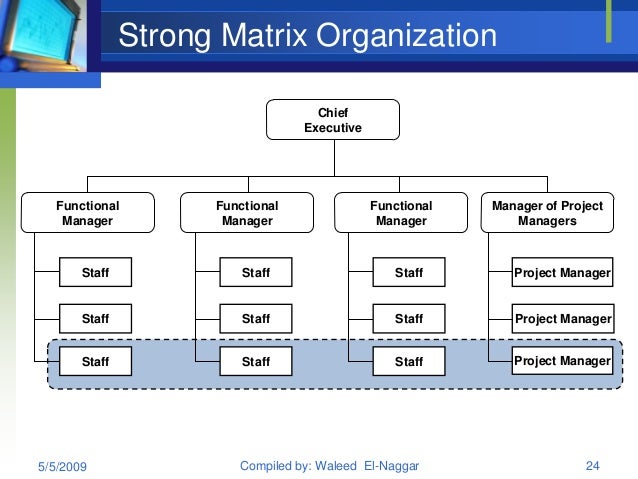 Organization Structure Functional Projectized Matrix