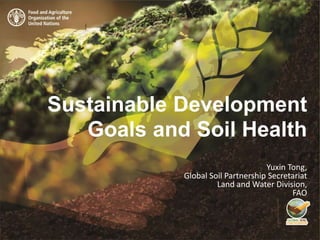 Sustainable Development Goals and Soil Health | PPTX