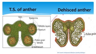 01 Reproduction in lower and higher plant.ppt-2.pdf