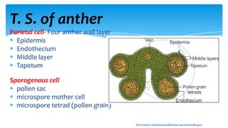 01 Reproduction in lower and higher plant.ppt-2.pdf