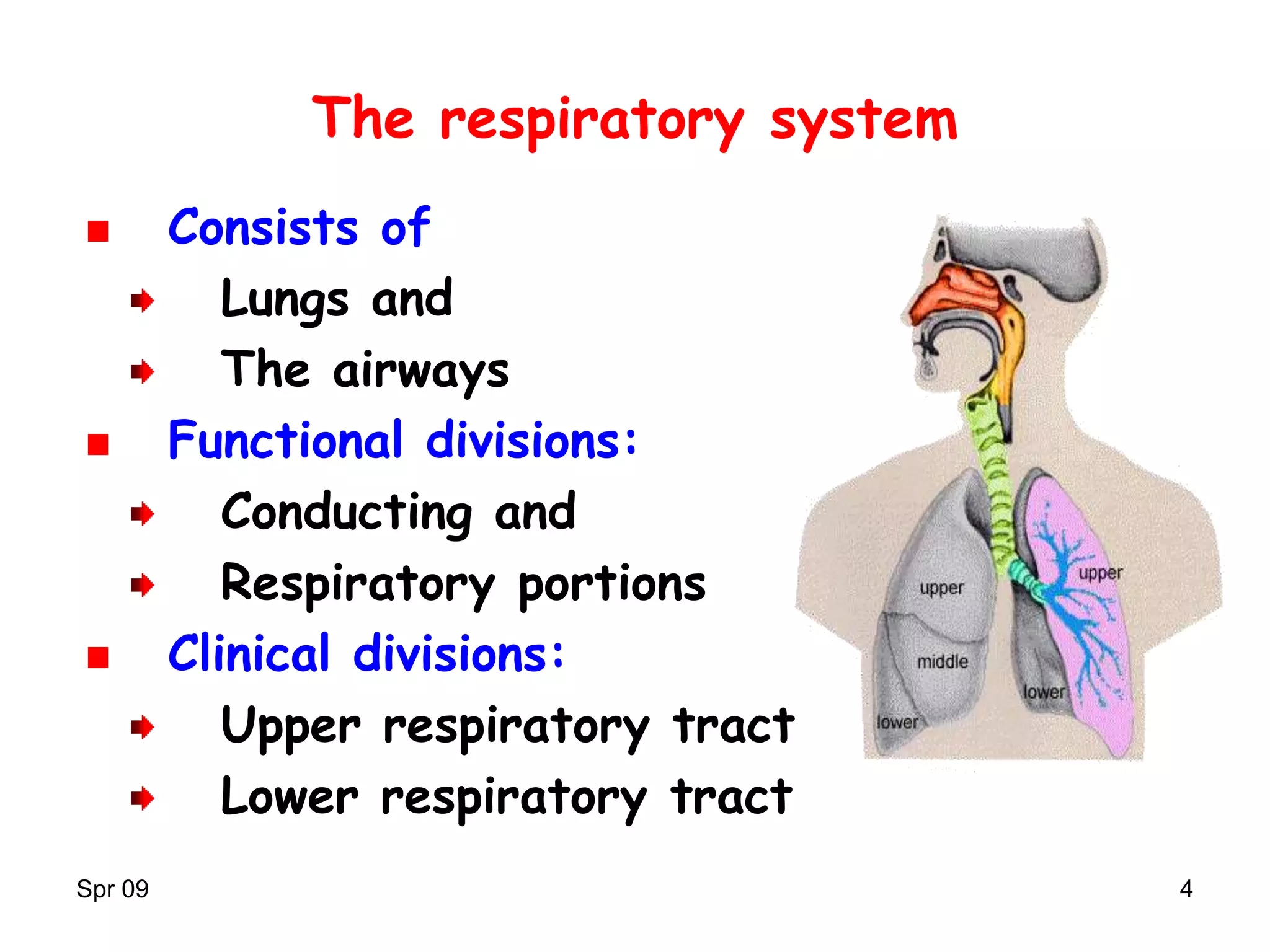 01 respiratory RDS | PPT