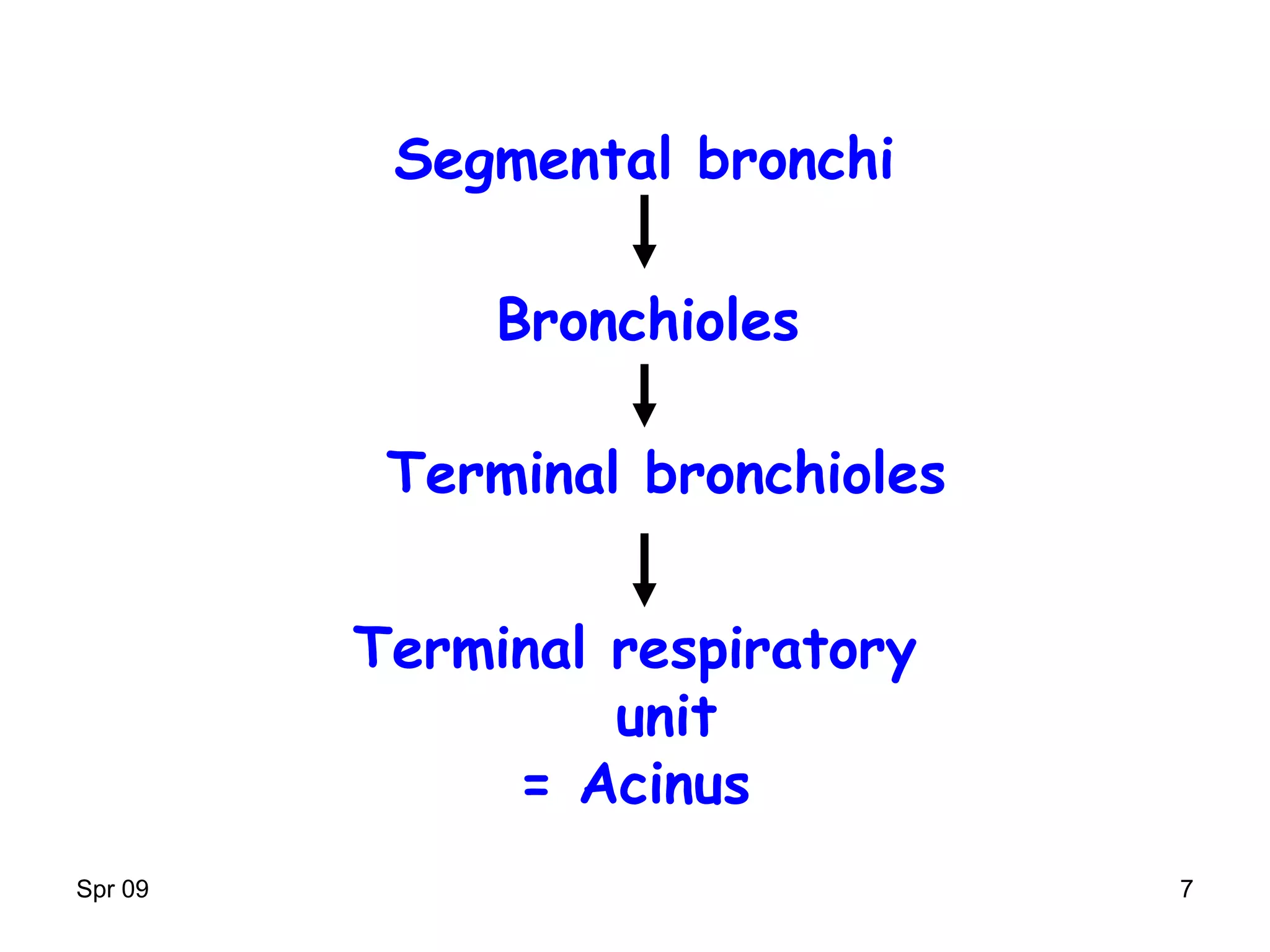 01 respiratory RDS | PPT