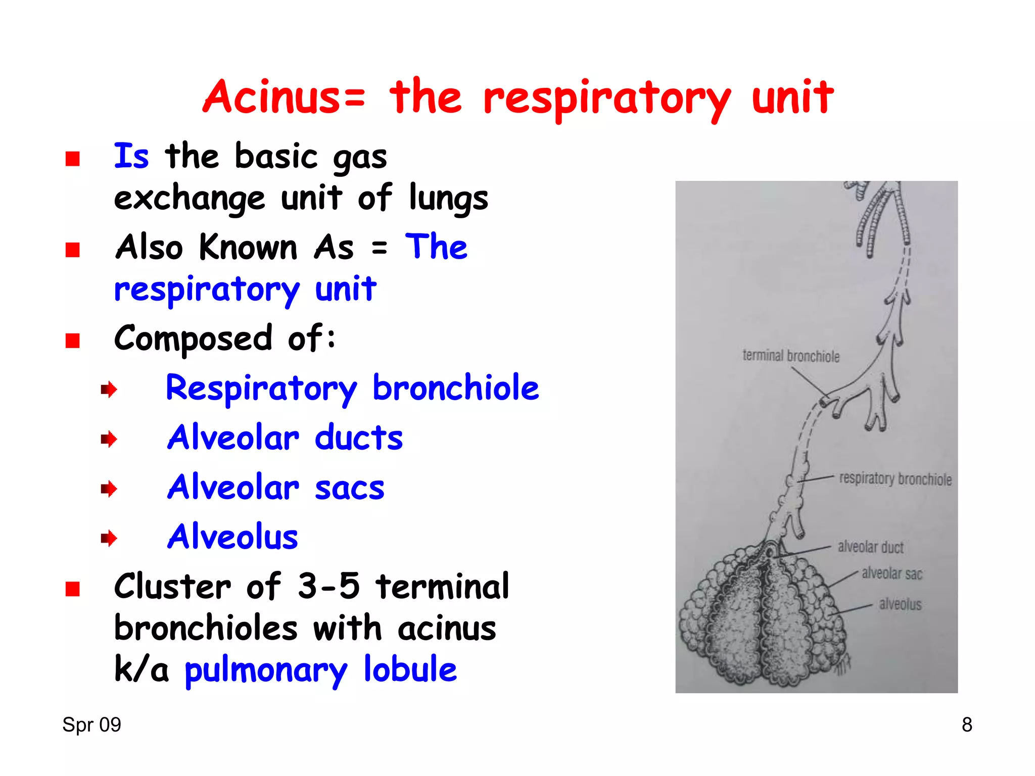 01 respiratory RDS | PPT