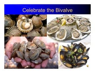 Bob Rheault, "The Future of Shellfish in Rhode Island," Baird Symposium ...