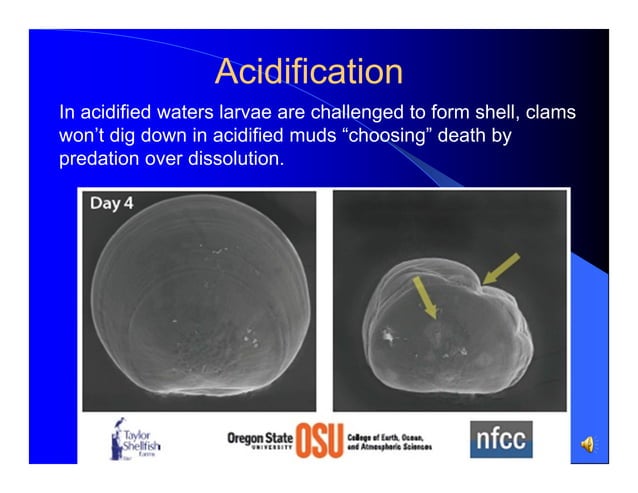 Bob Rheault, "The Future of Shellfish in Rhode Island," Baird Symposium ...