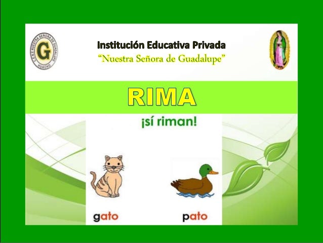 01 rima
