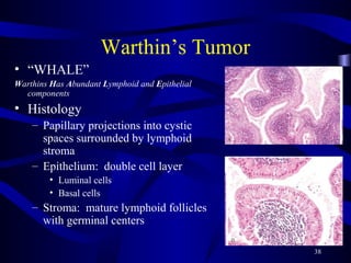 Warthins Tumor