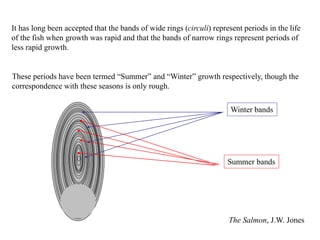 SFCC Introduction to Fish Scale Reading | PPTX