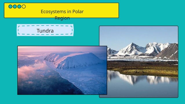 01 Science and the art of of Geography Ecosystems_20240911_055113_0000.pptx