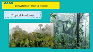 01 Science and the art of of Geography Ecosystems_20240911_055113_0000.pptx