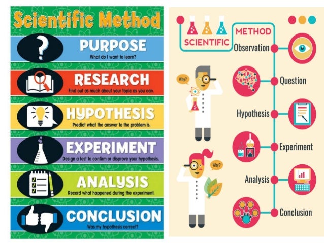 Science Inquiry: Observe & Hypothesize