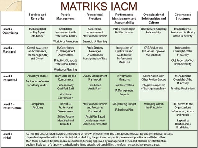 01 self assessment model iacm | PPTX