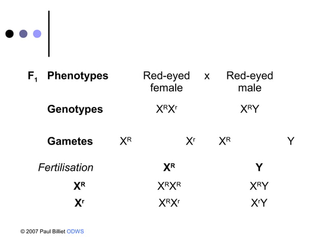 01 sex linkage(Dr.Endom(FST Genetic)) | PPT