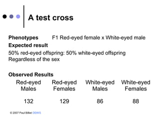 01 sex linkage(Dr.Endom(FST Genetic)) | PPT