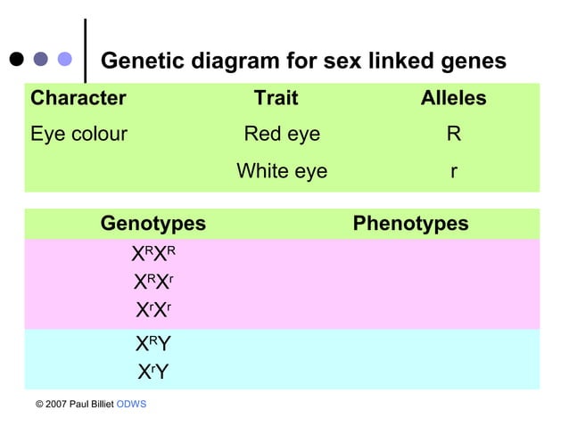01 sex linkage(Dr.Endom(FST Genetic)) | PPT